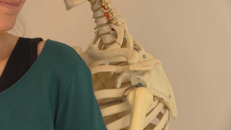 Flesh, Bones & Space of Your Anatomy l with Bisia Belina